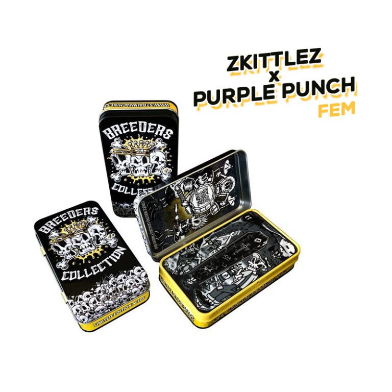 Semilla Feminizada Zkittlez X Purple Punch 3 unidades - Breeders ...