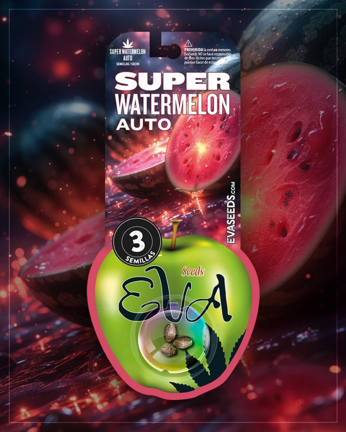Semillas Automaticas Super Watermelon 3 unidades - Eva Seeds - Natural Design